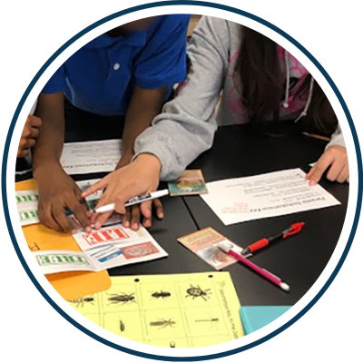 TEKS 8.6 Modeling Matter Activities for Middle School Science