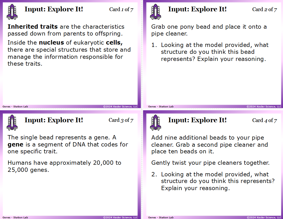 Genes Activity: 8 Hands-On Stations (TEKS 8.13B) | Kesler Science