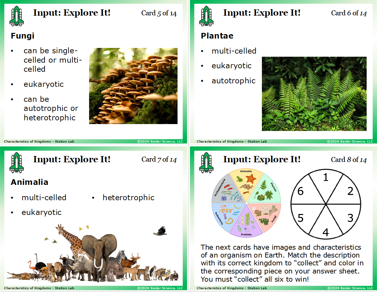 Characteristics of Kingdoms Activity: 8 Hands-On Stations (TEKS 7.14B ...