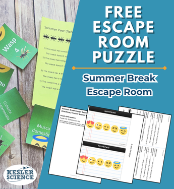 Free Summer Escape Room Puzzle